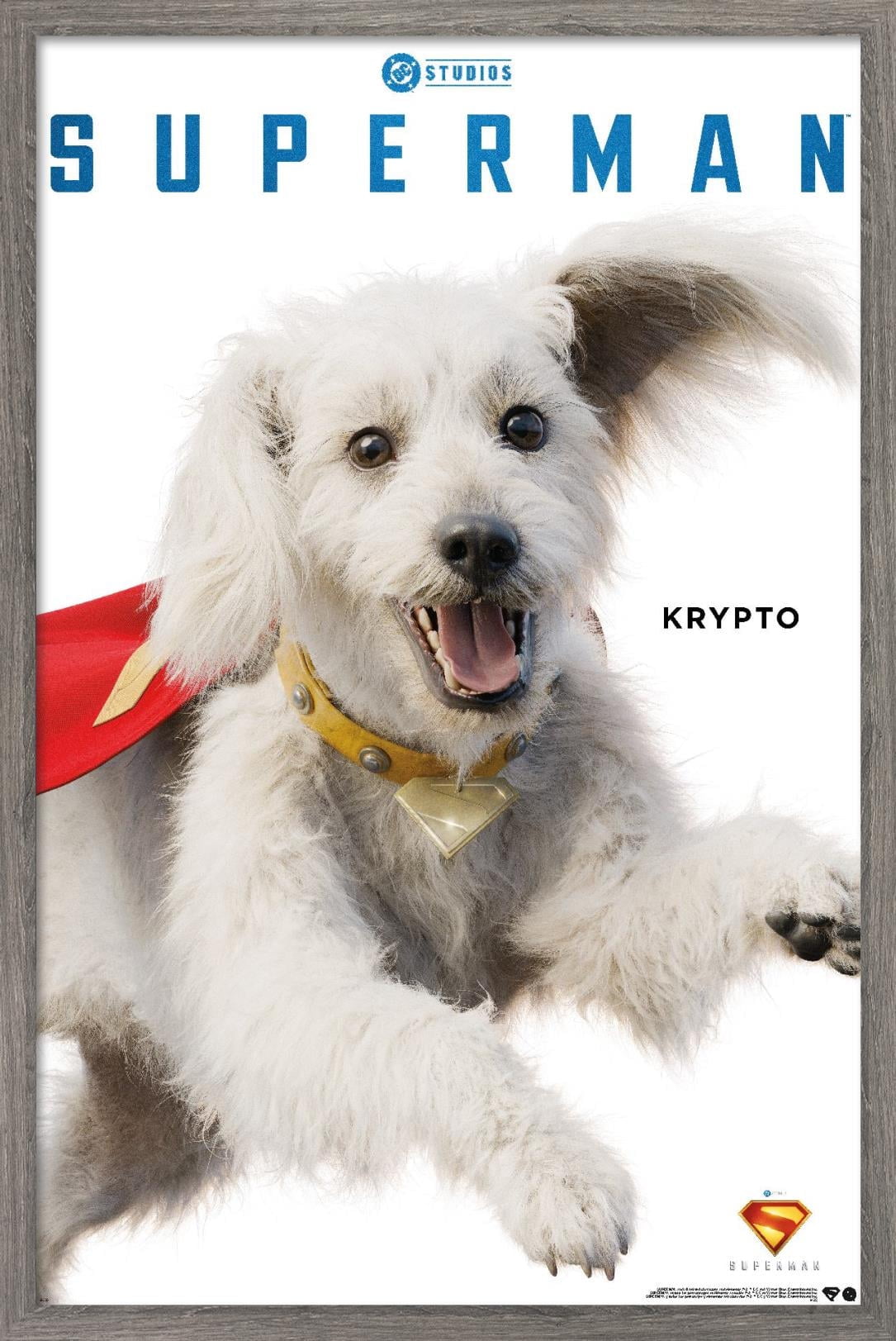 DC Studios Superman (2025) - Krypto Feature Series Wall Poster, 22.375" x 34" Framed - Walmart.com