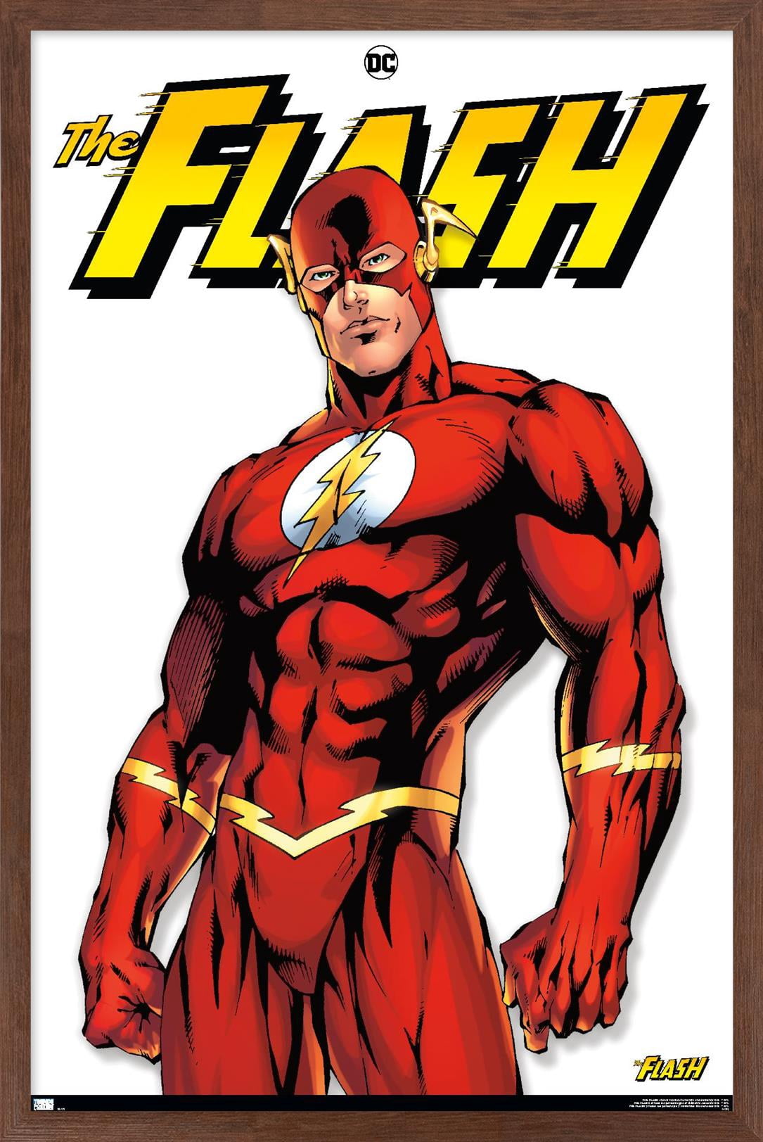 DC Comics - The Flash Feature Series Wall Poster, 14.725" x 22.375 ...