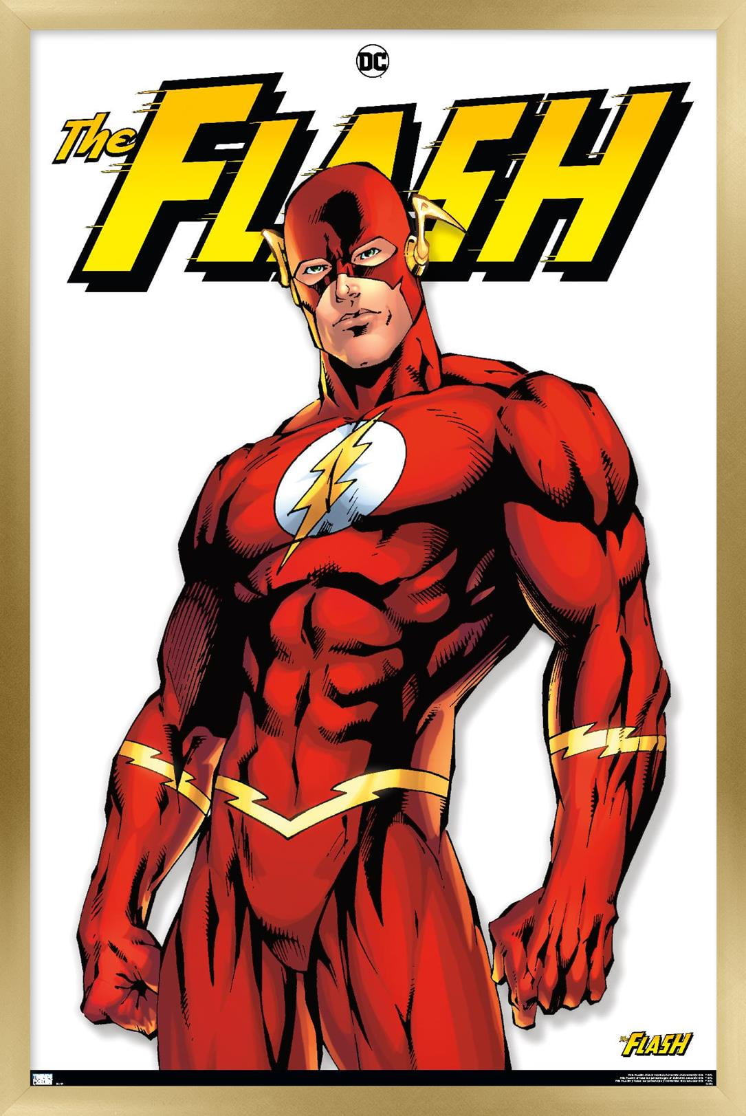 DC Comics - The Flash Feature Series Wall Poster, 22.375" x 34" Framed ...