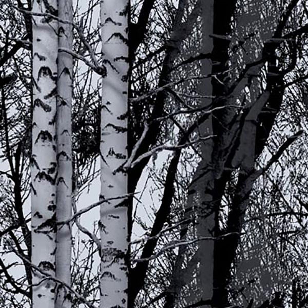DC Fix Birch Forest Premium Window Film - Walmart.com