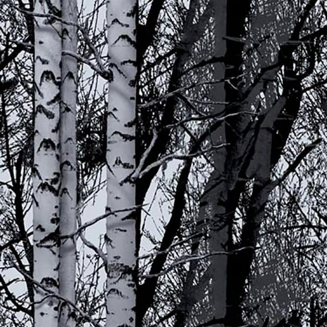 DC Fix Birch Forest Premium Window Film - Walmart.com