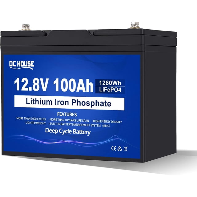 DC HOUSE 12V 100Ah LiFePO4 Lithium Battery Mini Size with 100A BMS - 10 ...