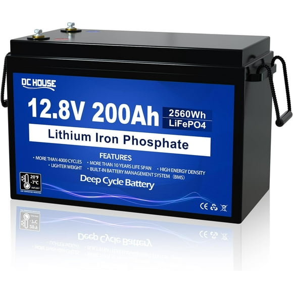 Lifepo4 Battery