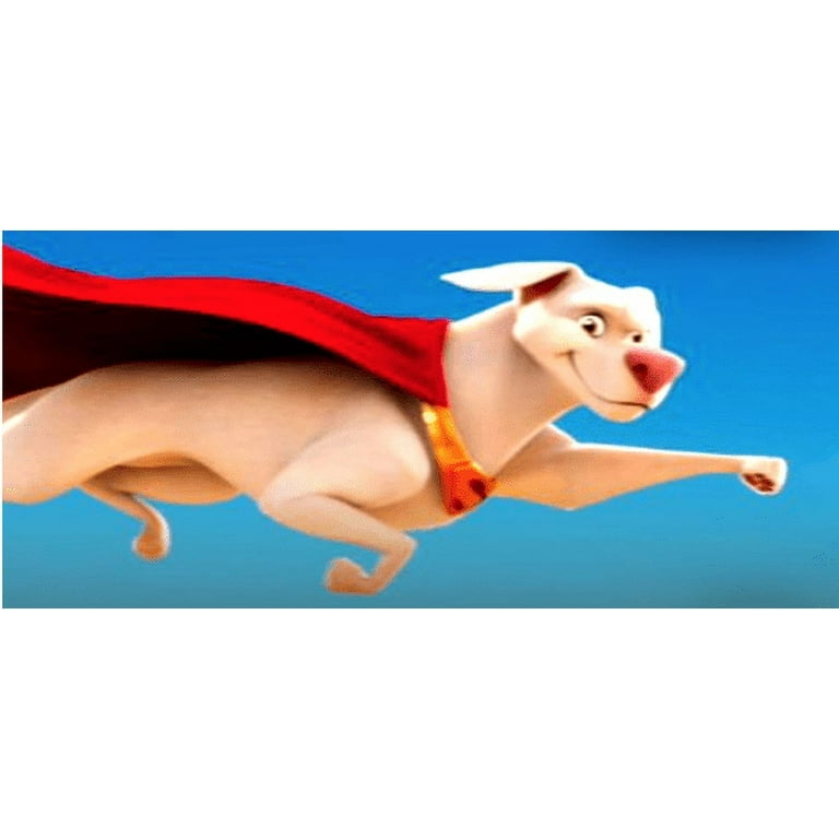 dc league of super pets coloring pages