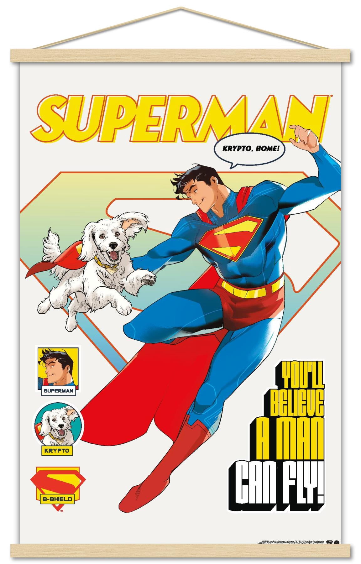 DC Studios Superman (2025) - Illustrated Duo Wall Poster with Magnetic ...