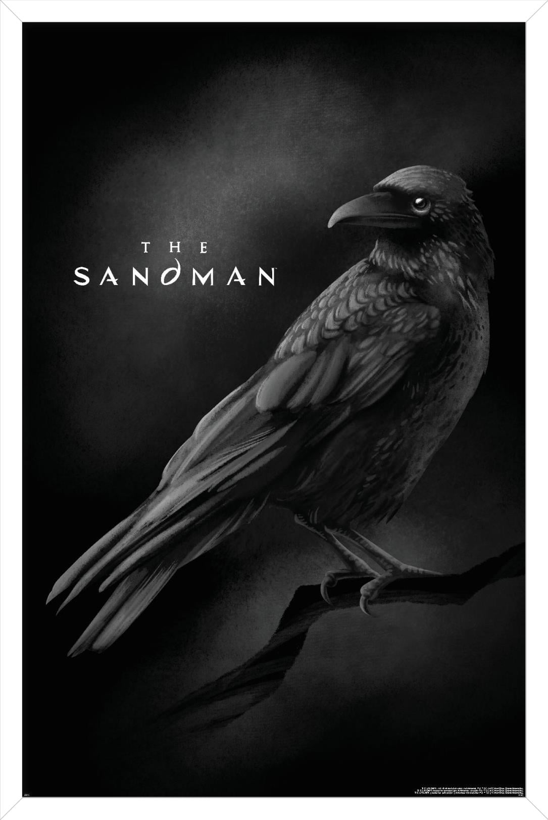 DC The Sandman (2022) - Matthew The Raven Wall Poster, 22.375" x 34 ...