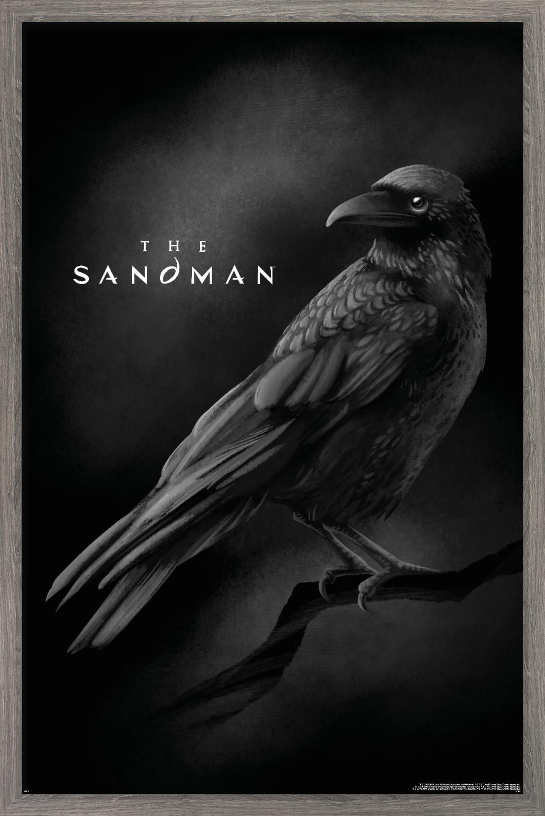 DC The Sandman (2022) - Matthew The Raven Wall Poster, 22.375" x 34 ...