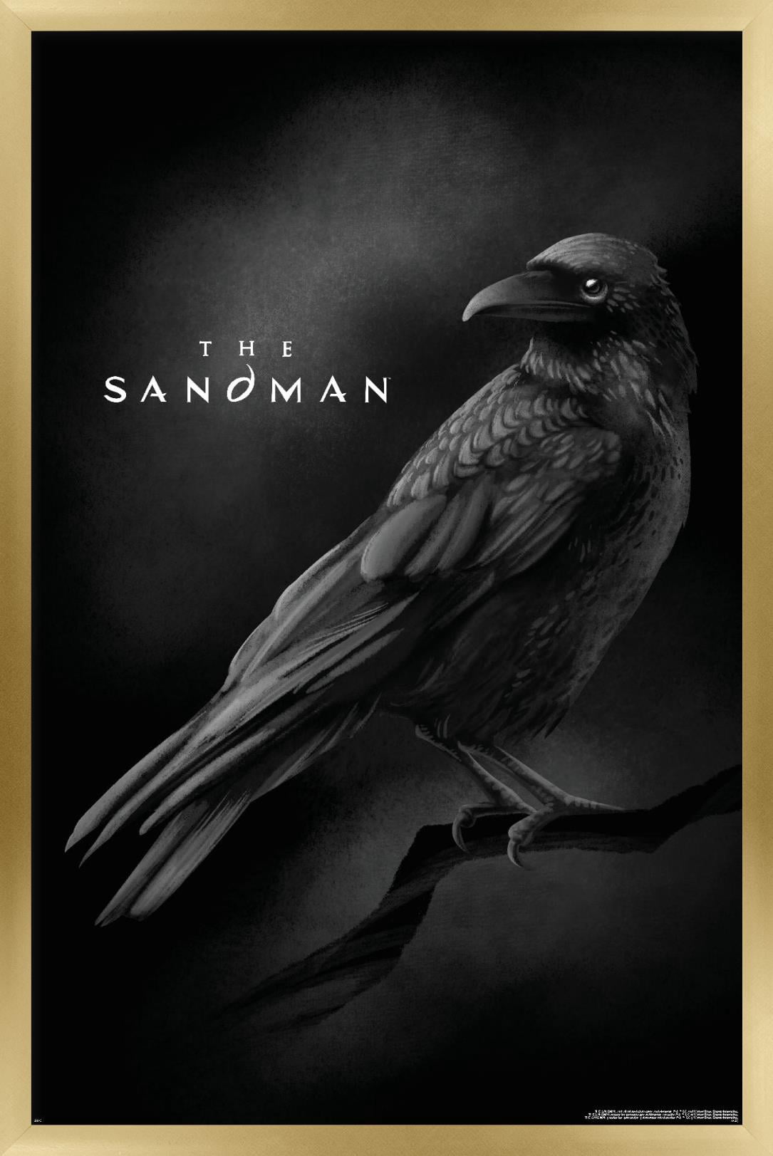 DC The Sandman (2022) - Matthew The Raven Wall Poster, 22.375" x 34 ...