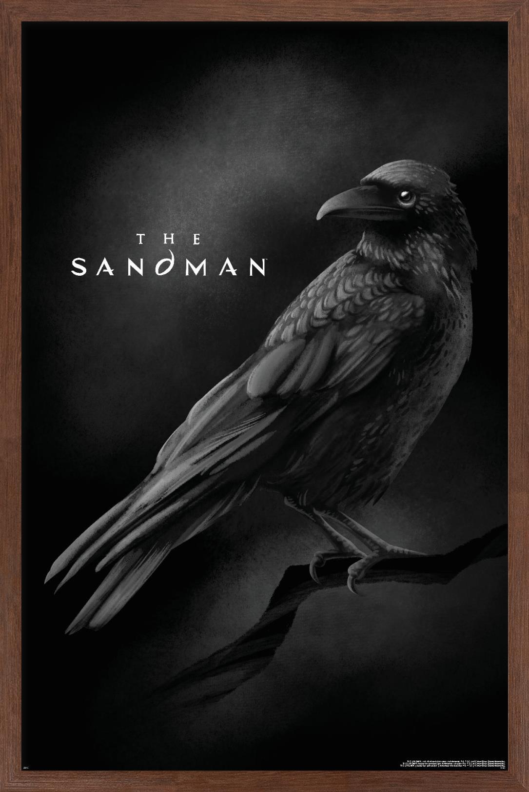 DC The Sandman (2022) - Matthew The Raven Wall Poster, 22.375" x 34 ...