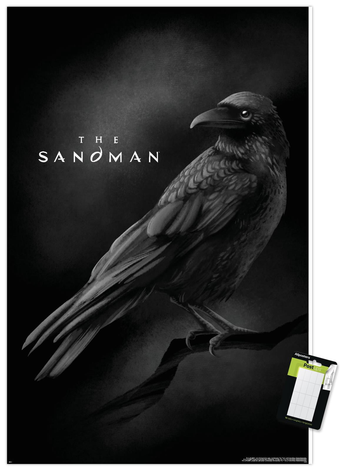 DC The Sandman (2022) - Matthew The Raven Wall Poster, 22.375" x 34 ...