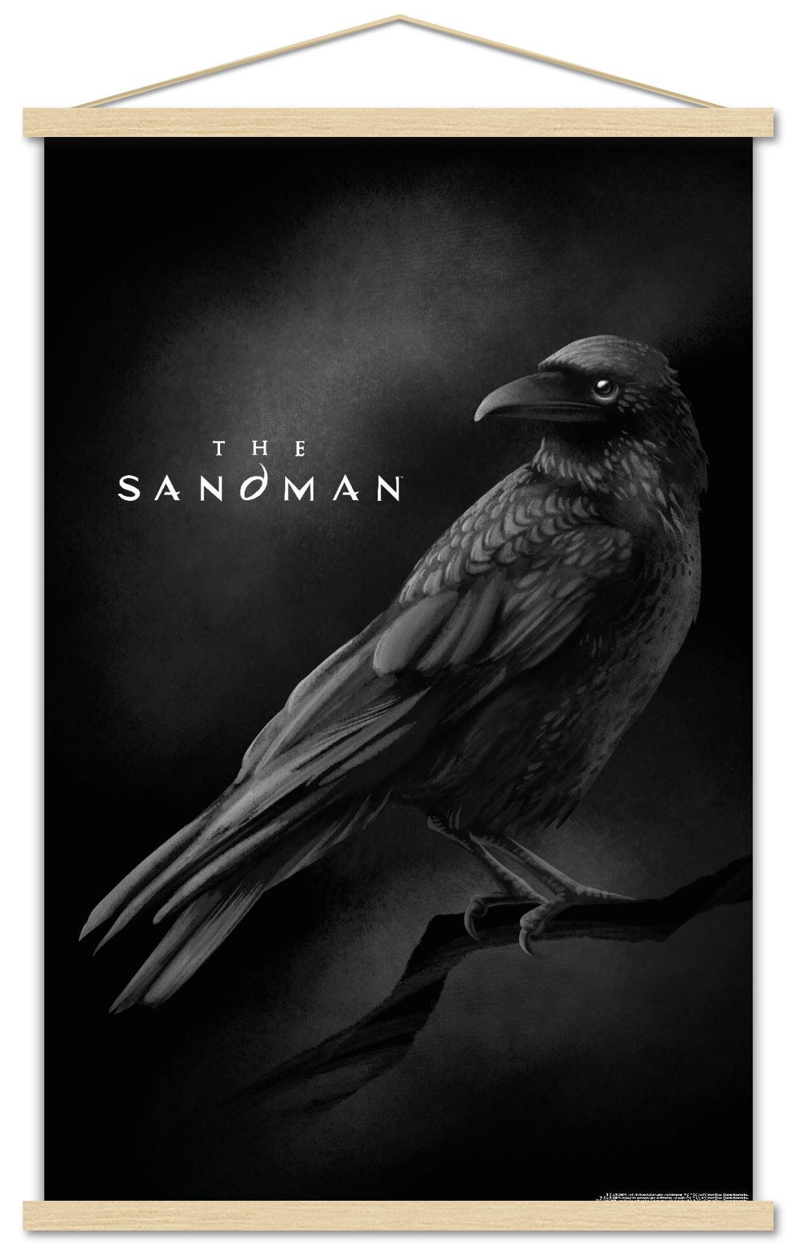 DC The Sandman (2022) - Matthew The Raven Wall Poster with Magnetic ...