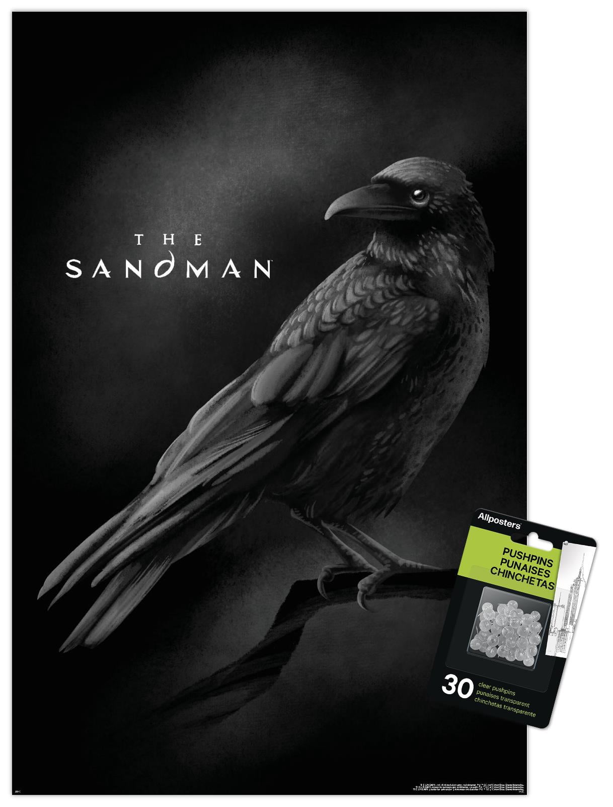 DC The Sandman (2022) - Matthew The Raven Wall Poster with Push Pins ...