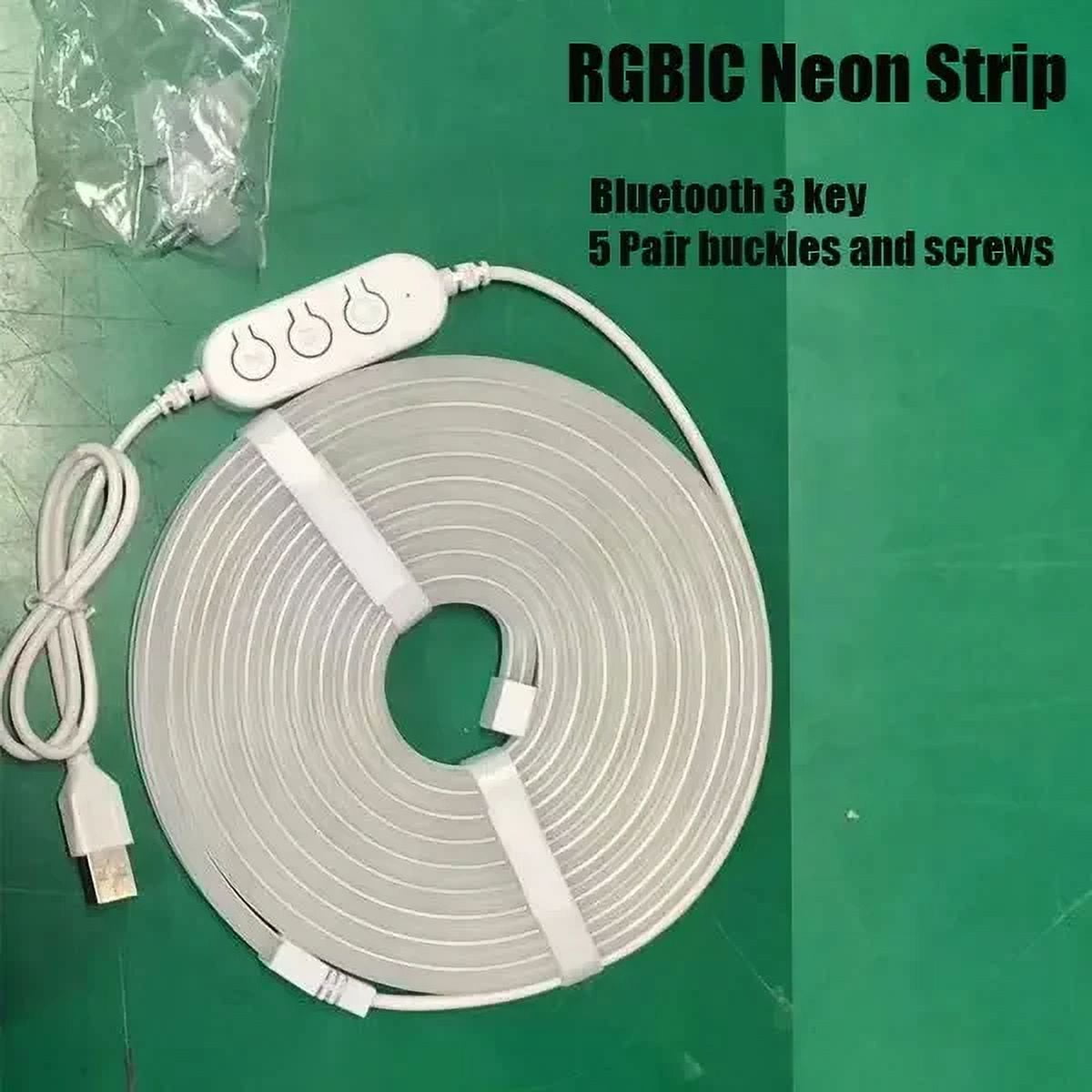 DC5V USB Neon LED Strip Light 1M 2M 3M RGBIC WS2812 Waterproof Neon ...