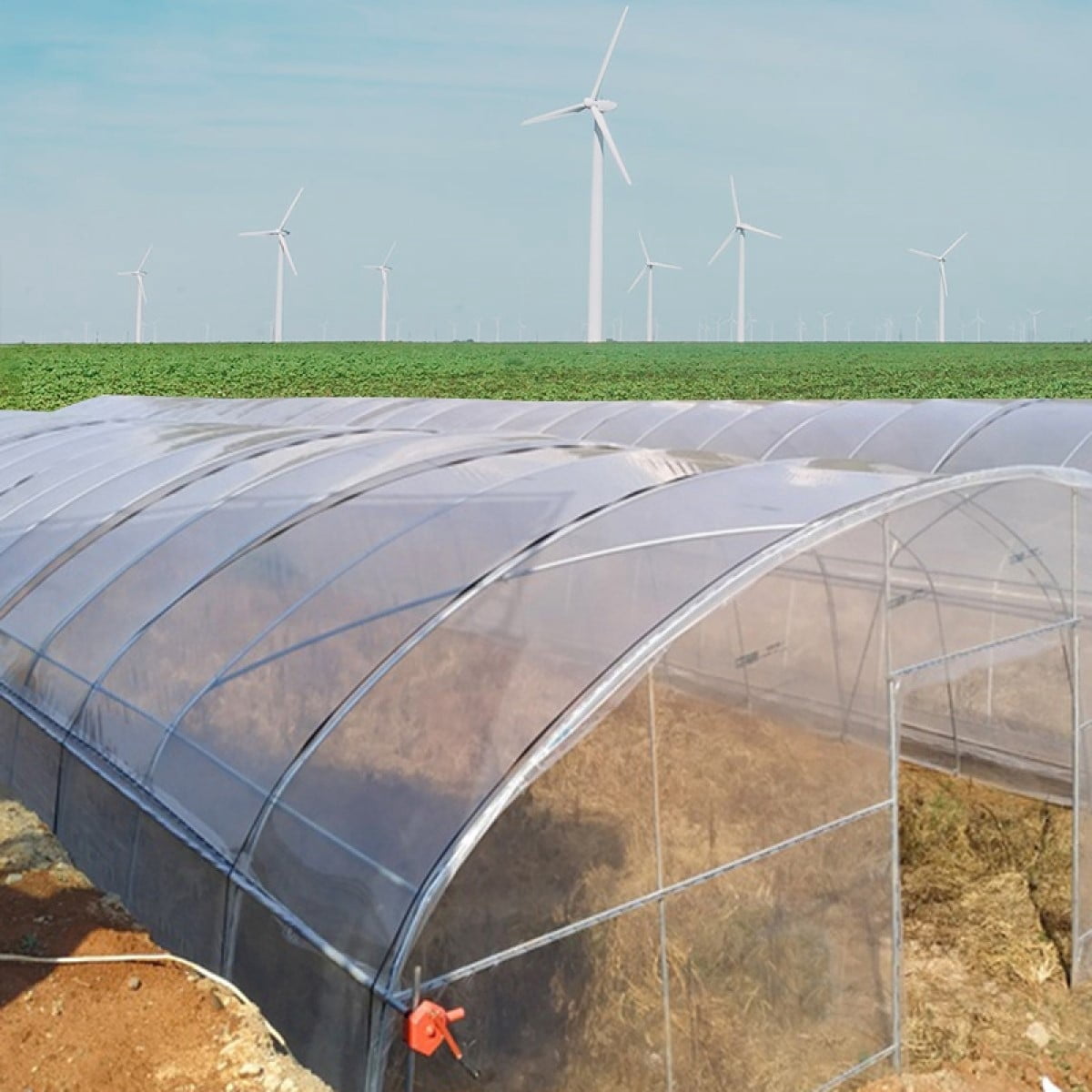 DCP 3.1 Mil Plastic Clear Polyethylene Greenhouse Film for Plant Cover ...