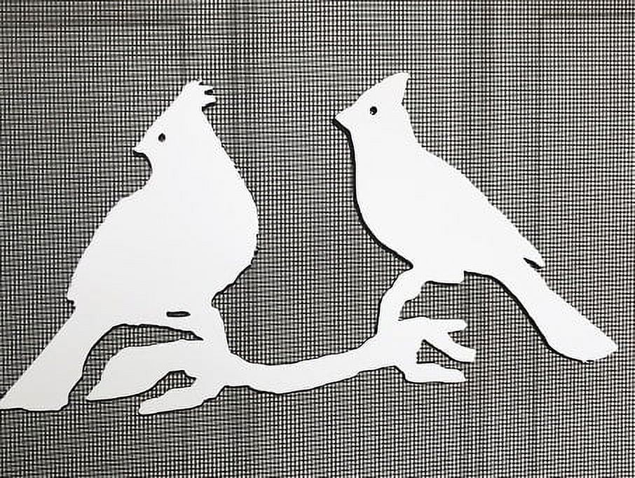 DCentral Cardinals Flexible Screen Magnet: Multipurpose, Double-Sided ...