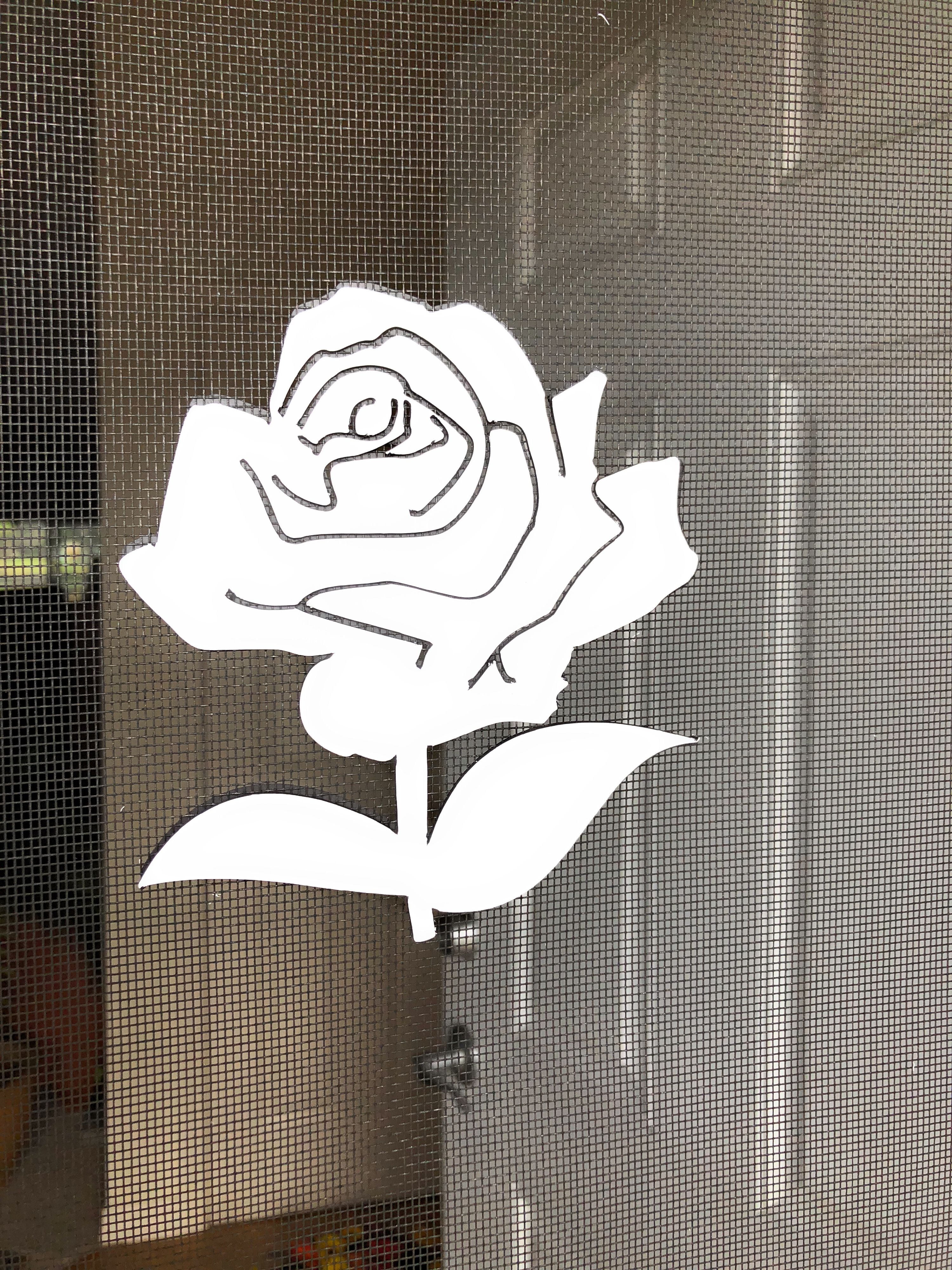 DCentral Rose Flexible Screen Magnet Double-Sided Décor; Multipurpose ...