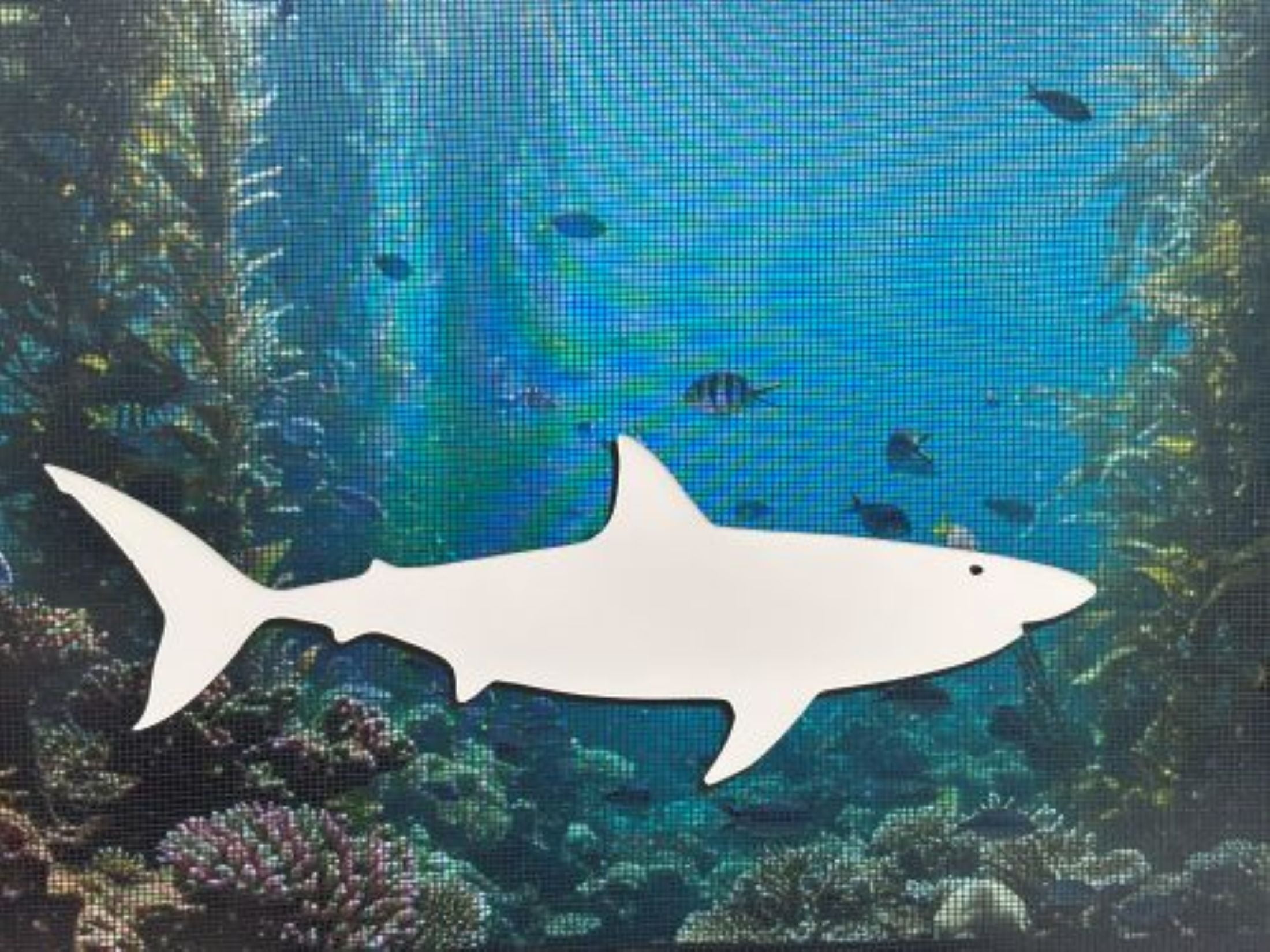 DCentral® SHARK Flexible Vinyl Safety Screen Magnets: Double-Sided ...