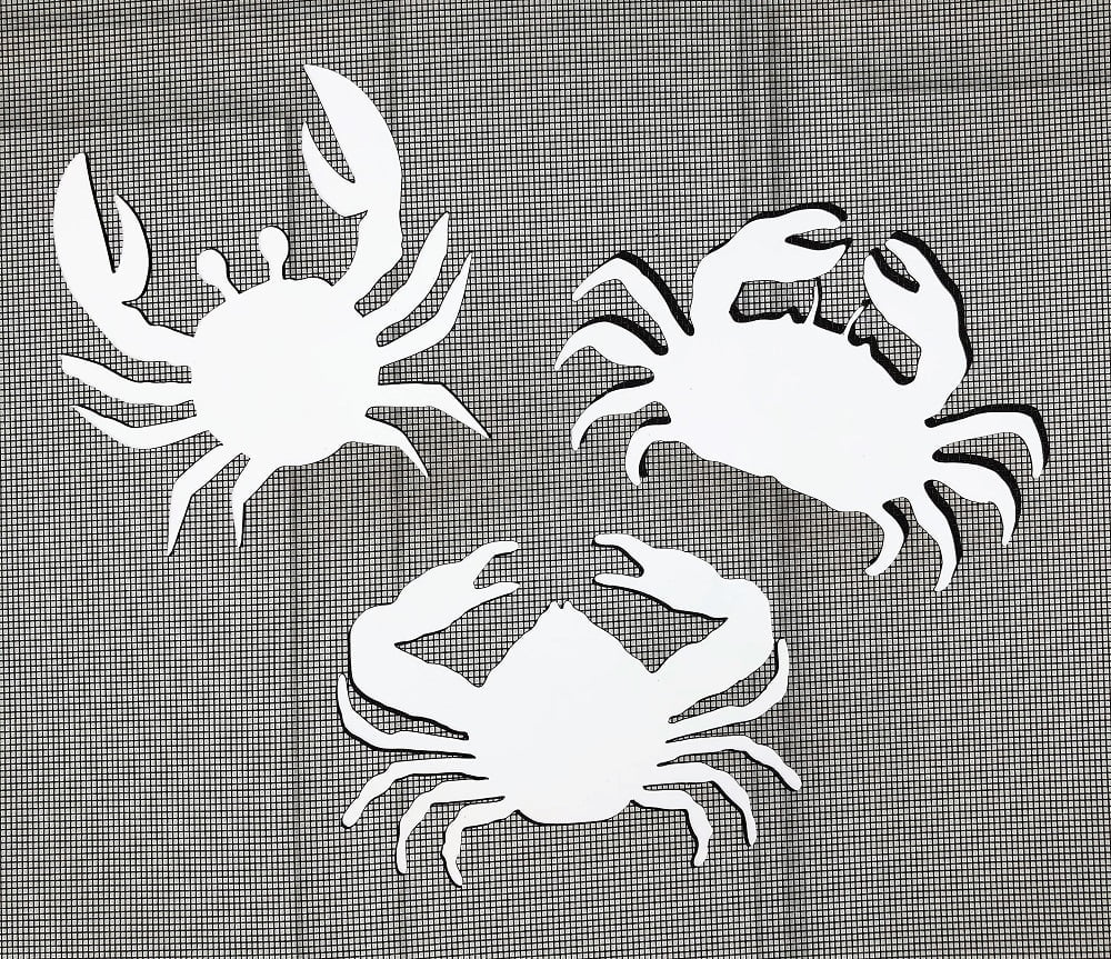 DCentral® Three Crabs Flexible Safety Screen Magnets: Double-Sided ...