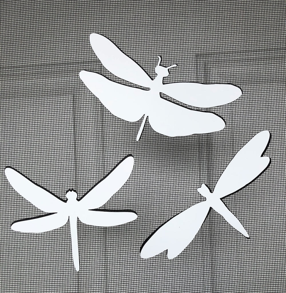 DCentral® White Double-Sided Dragonfly Screen Magnets: Flexible ...