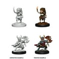 D&D Nolzur's Marvelous Miniatures: Female Halfling Fighter - Walmart.com