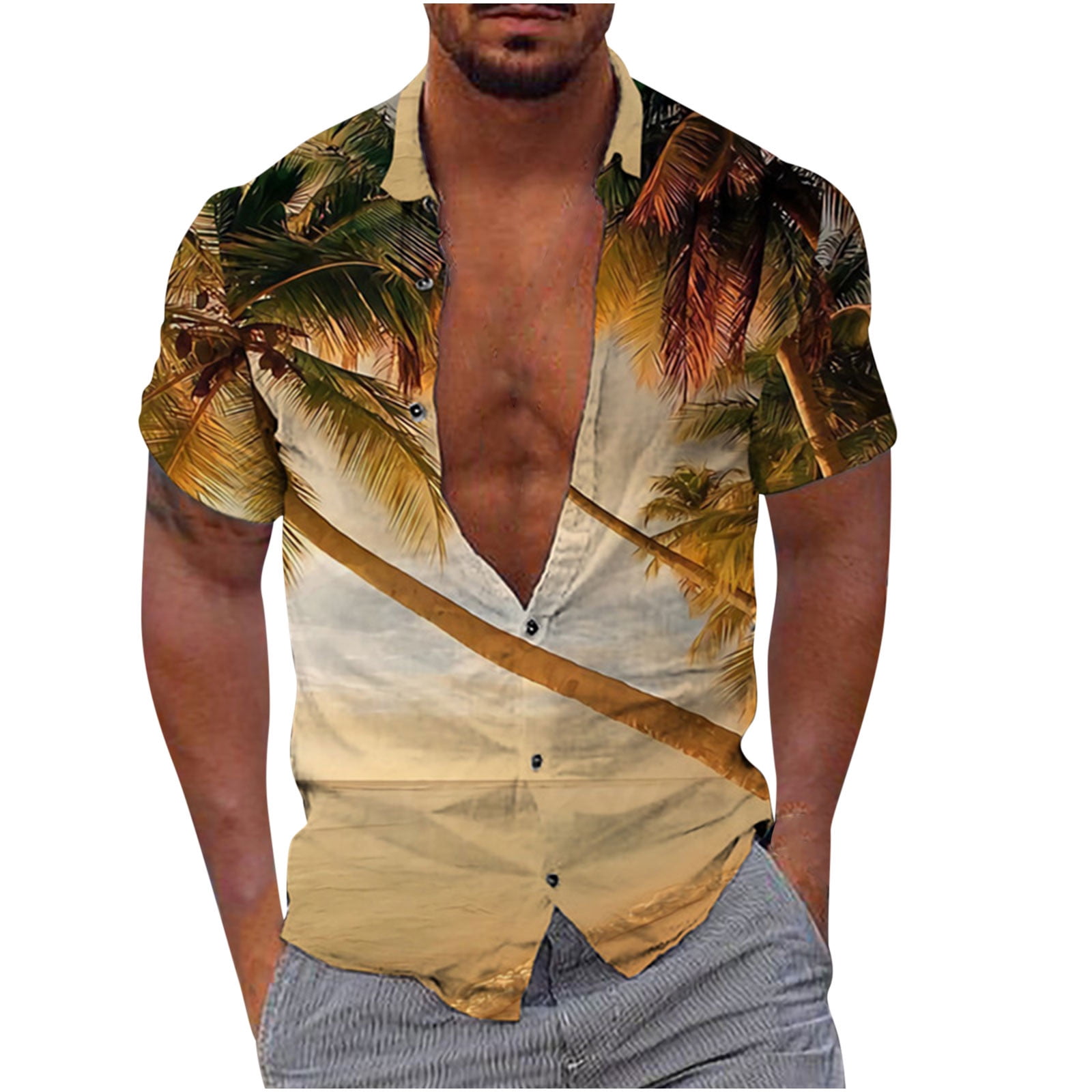 DDAPJ pyju Mens Hawaiian Shirts Short Sleeve Button Down Shirt Vintage ...
