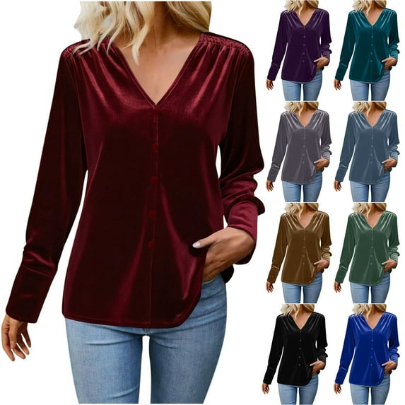 DDAPJ pyju Women's Velvet Tops Dressy Casual Long Sleeve Smocked Work ...