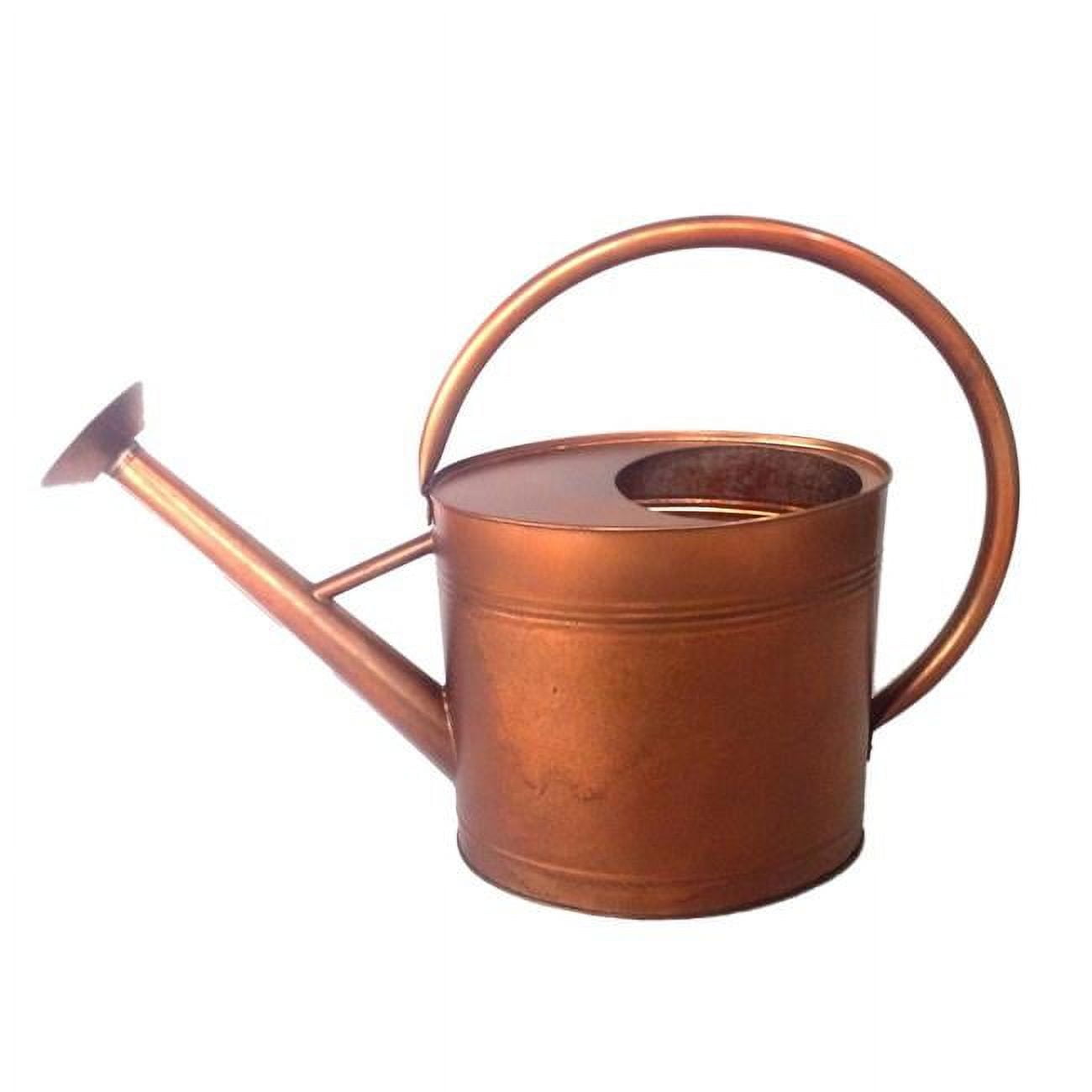 DDI DDI912473 2.5 gal Backyard Expressions Watering Can, Antiqued ...