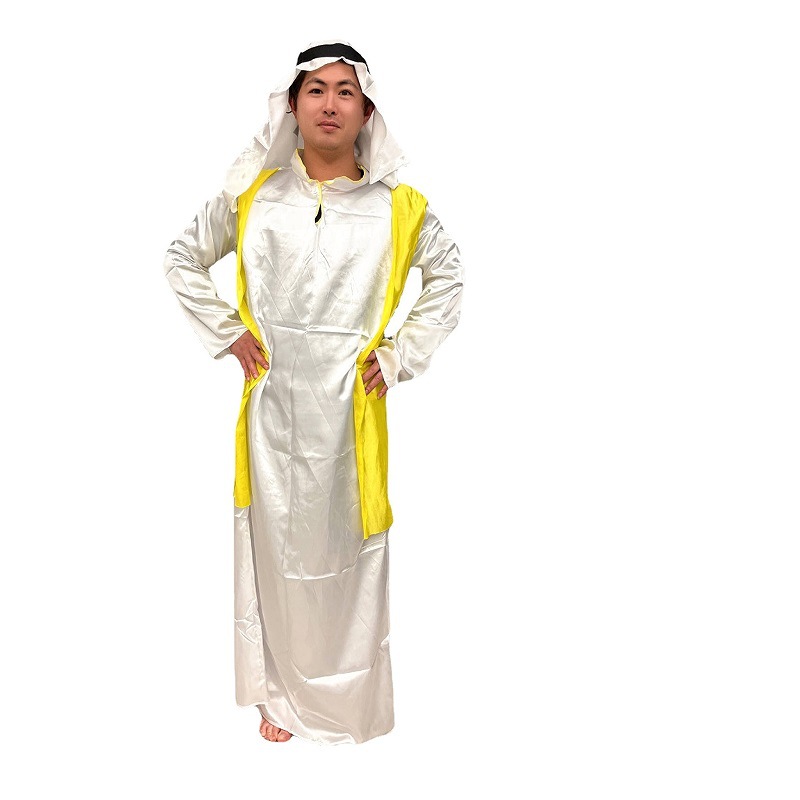 DDWD Halloween adult Arabic samurai costume Aladdin Zeus Jasmine ...