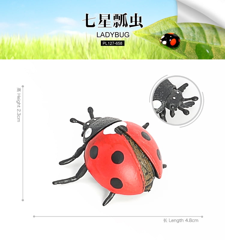 DDWD Static Simulation Insect Model Spider Ceramulus Mantis Butterfly ...