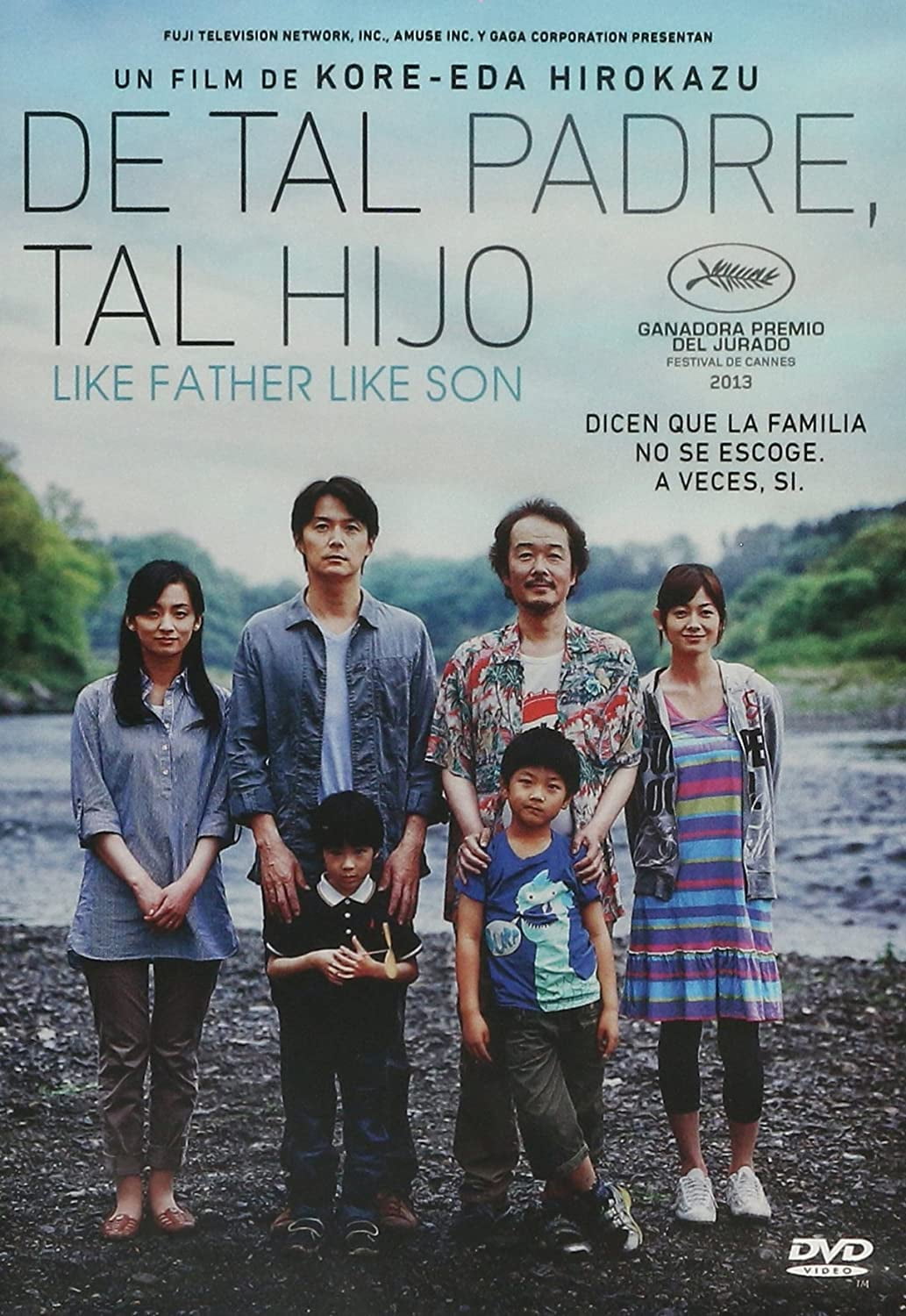 DE TAL PADRE TAL HIJO Spanish Movie Film DVD - Walmart.com