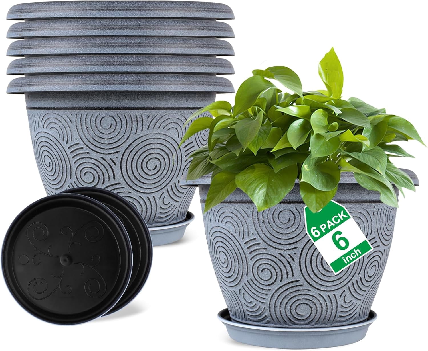 6 Inch Plant Pots