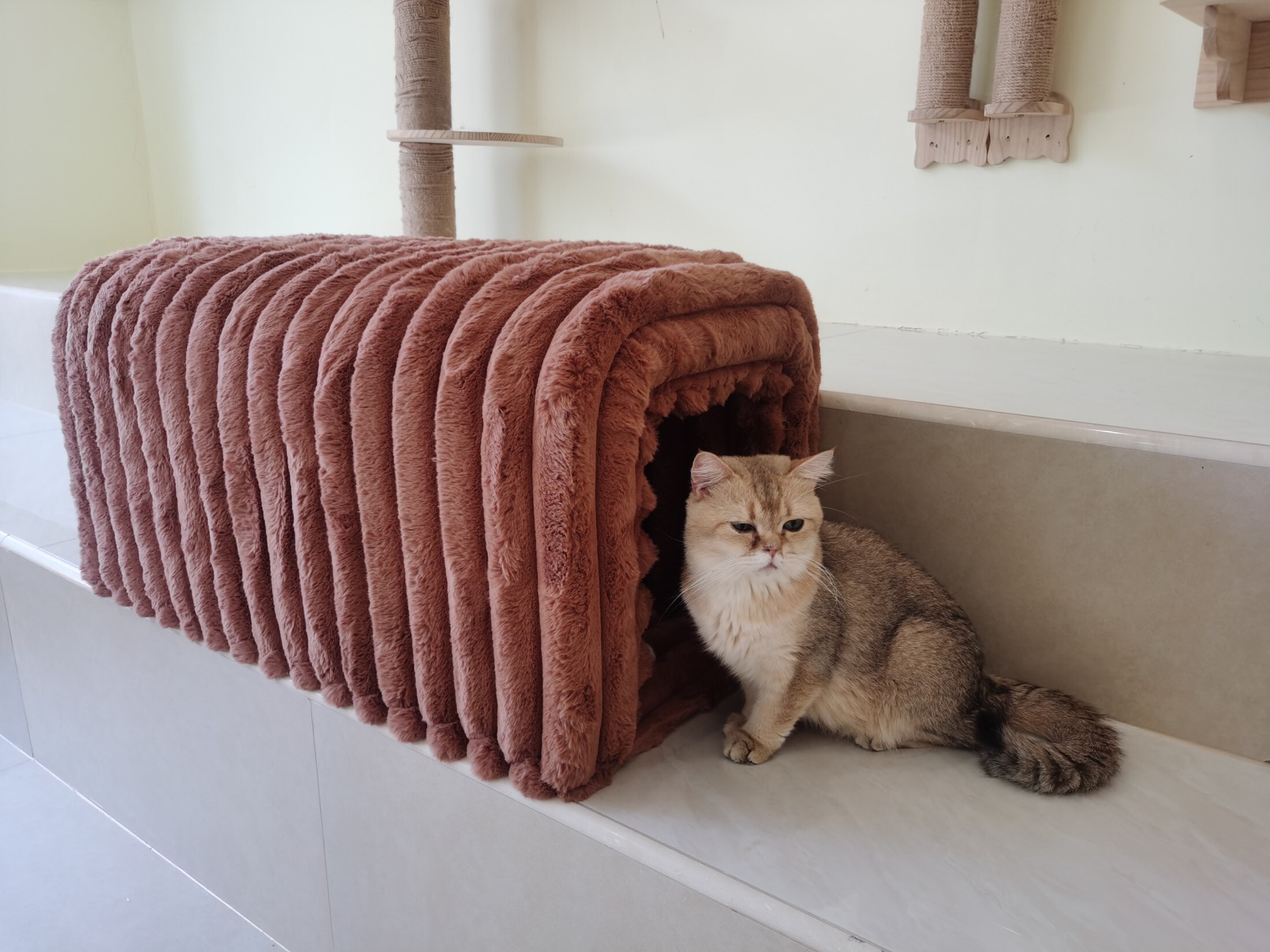 DEALTOPS Corduroy Storage Bench Open Foot Stool, Arch Cat's Nest for ...