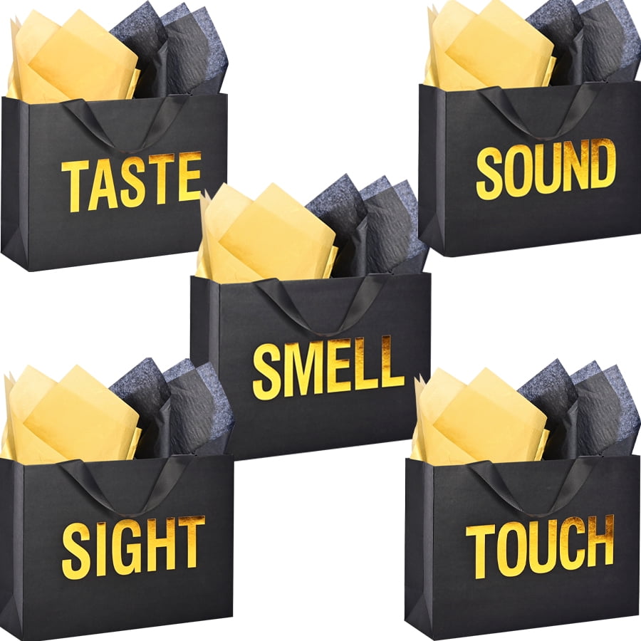 DECHISY Large 5 Senses Gift Bag with Handles and Tissue Paper for ...