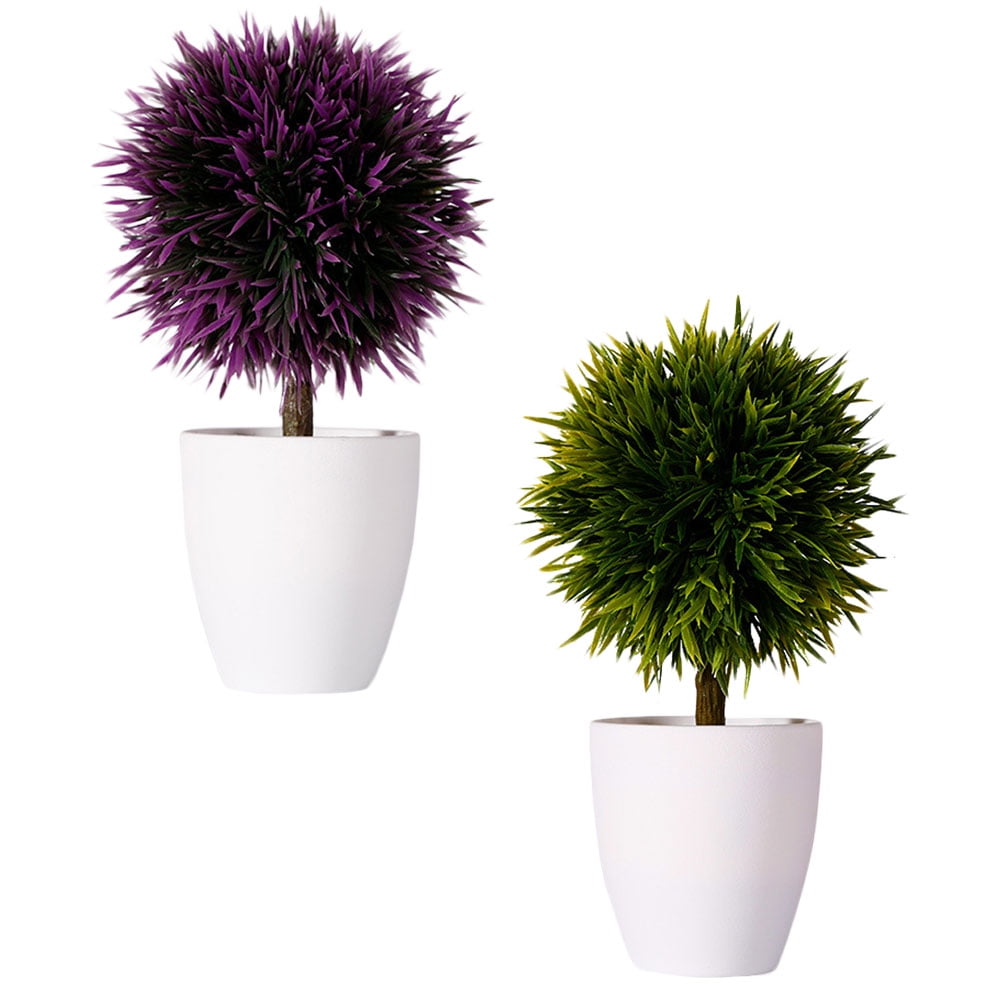 DECOMELODY 2Pcs Low Maintenance Potted Plants Purple Green 19x10.5Cm ...