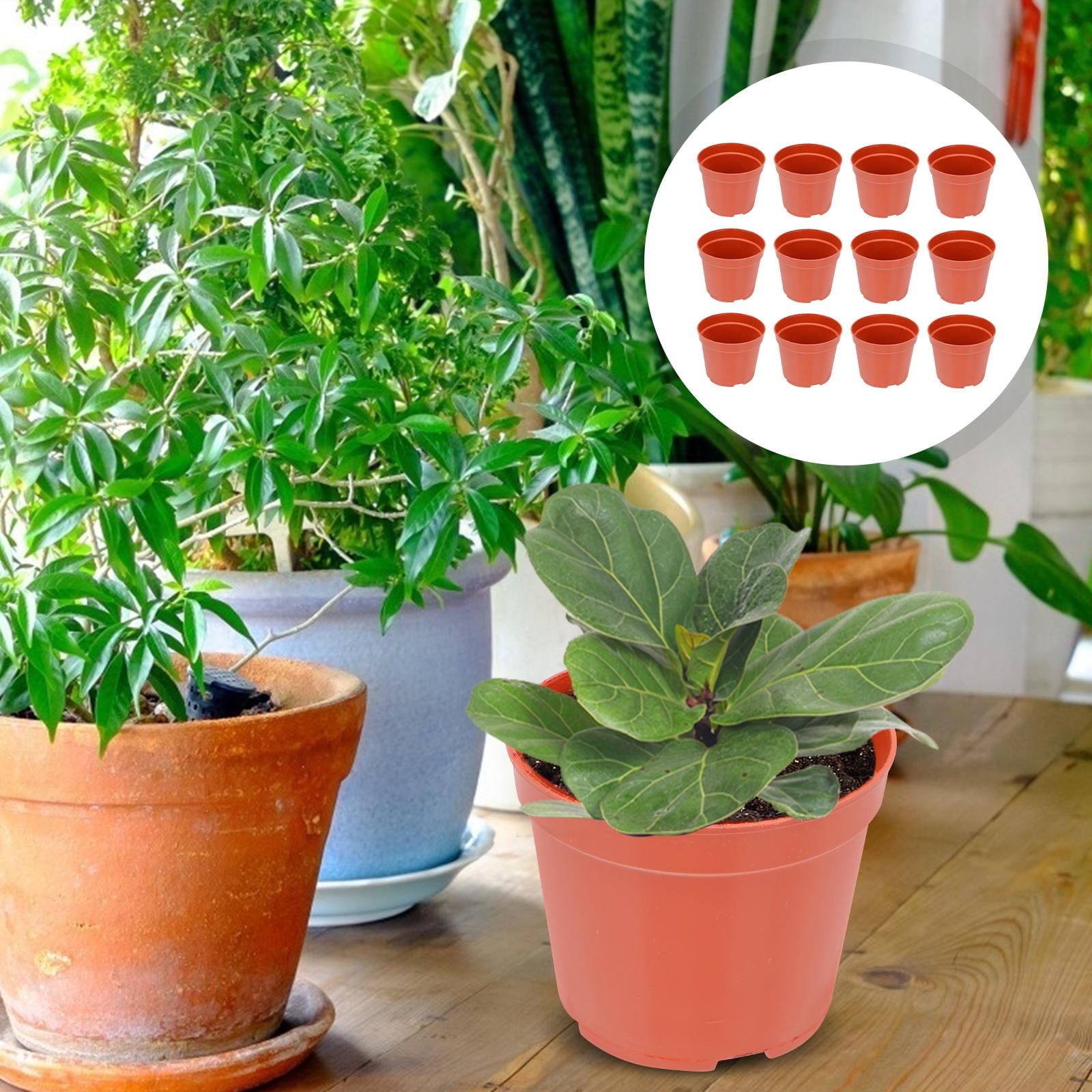 DECOMELODY 30Pcs Garden Flower Pot in Brown for Office Decoration ...