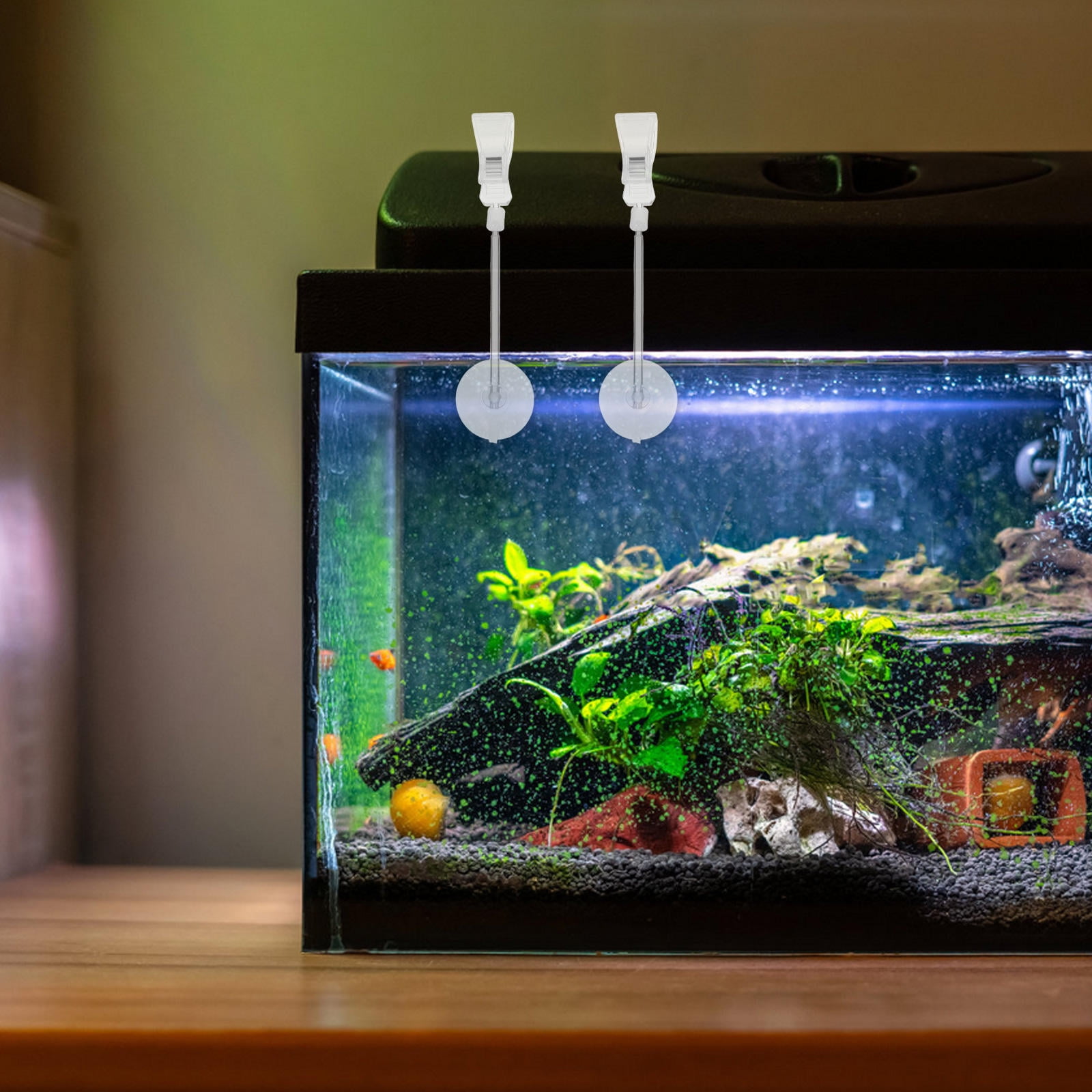 DECOMELODY 3Pcs Transparent PVC Aquarium Suction Cup Clips for Fish ...