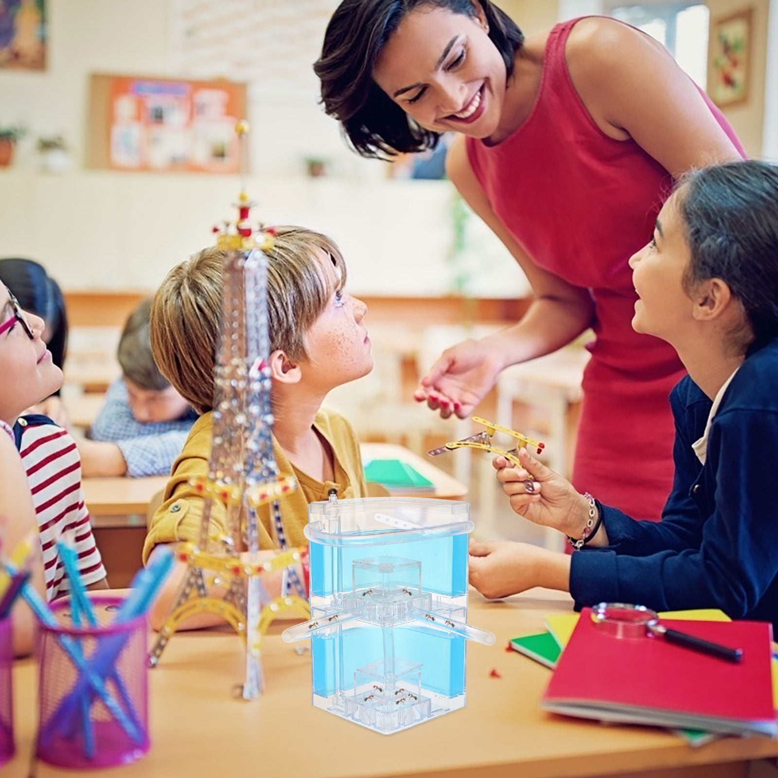 DECOMELODY Ant Observation Container 1Set for Indoor Ant Habitats 2 ...