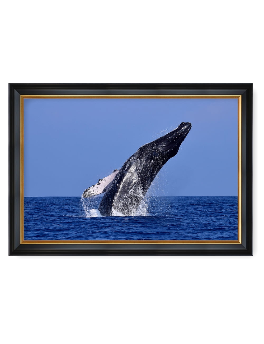 DECORARTS - Breaching Whale Wild Animal Wall Art. Giclee Prints on Acid ...