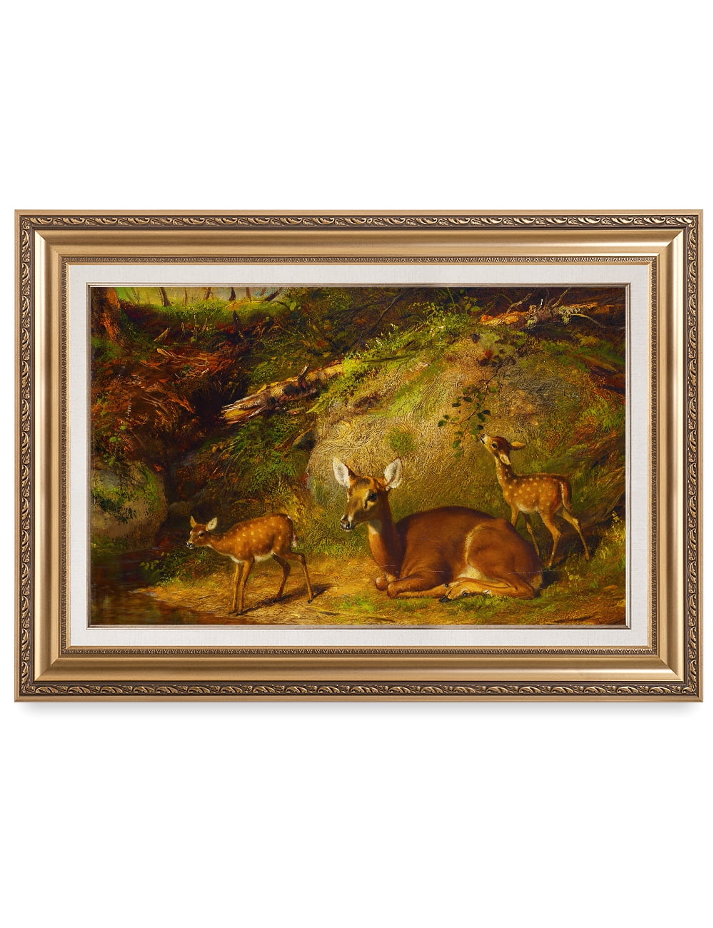 DECORARTS - Doe and Two Fawns by Arthur Fitzwilliam Tait. World Famous ...
