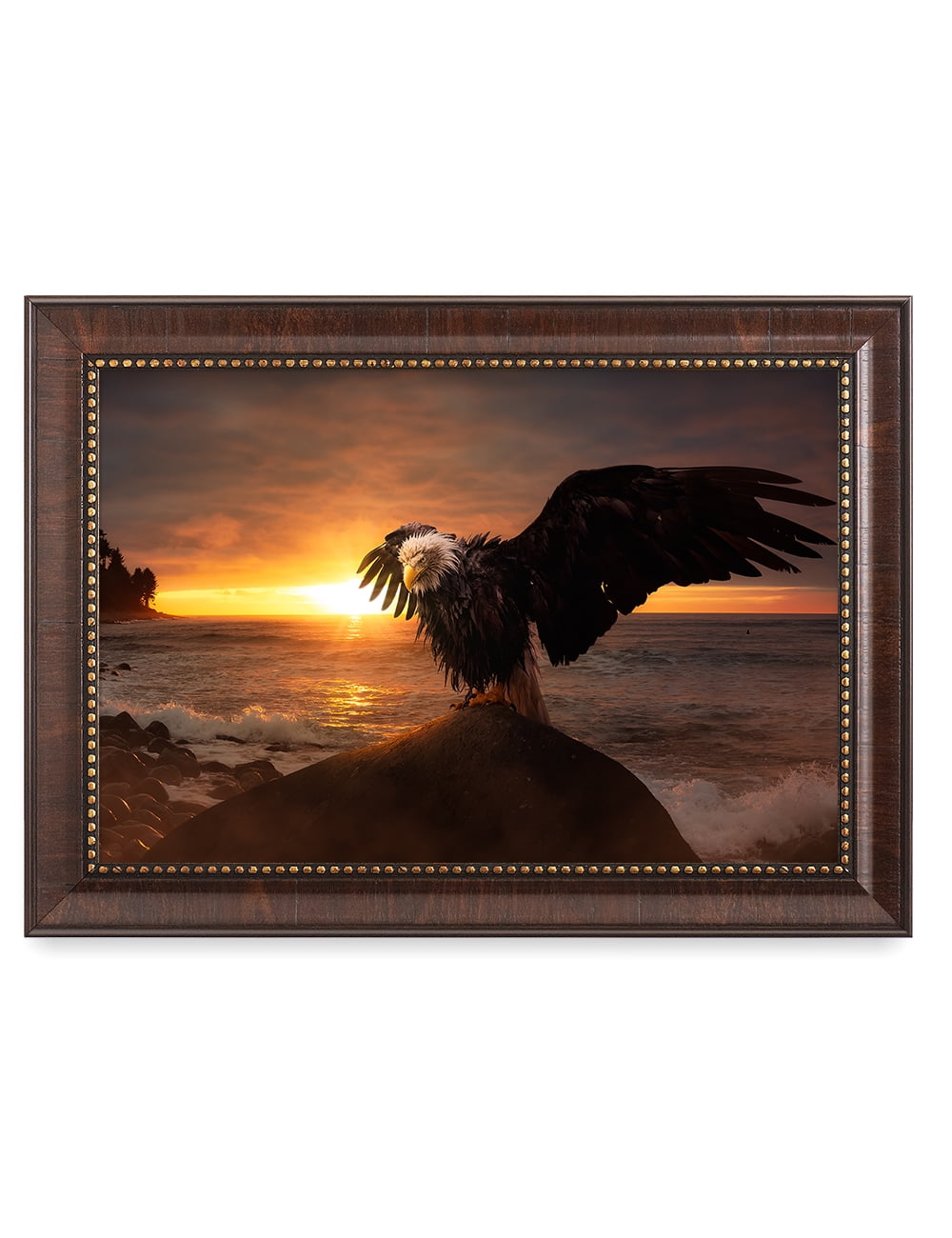 DECORARTS - Eagle Landing Wild Animal Wall Art. Giclee Prints on Acid ...