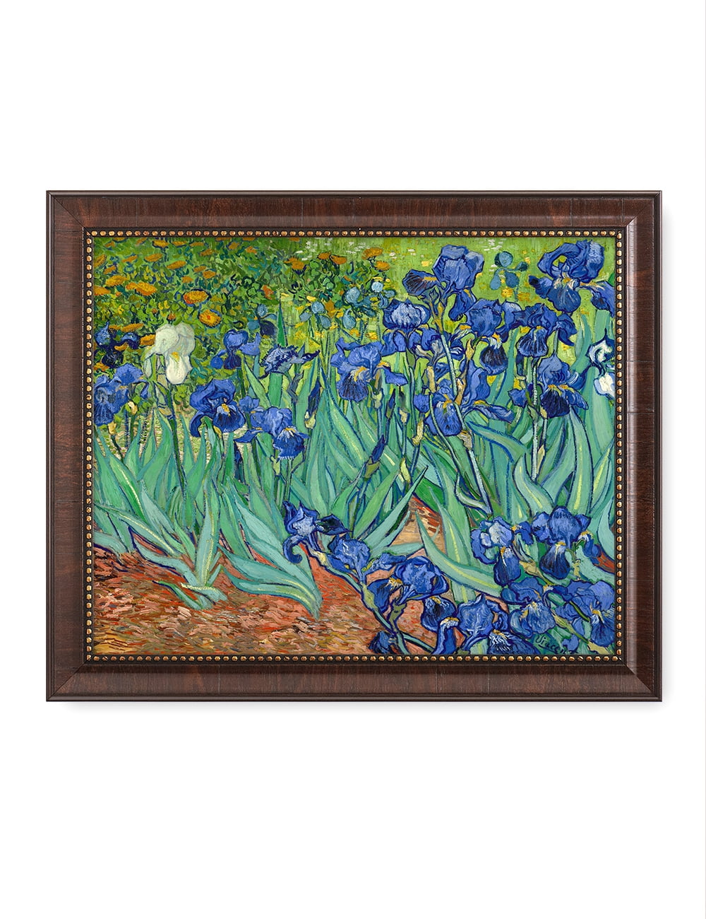 DECORARTS - Irises in the Garden - Vincent Van Gogh Giclee Prints w ...