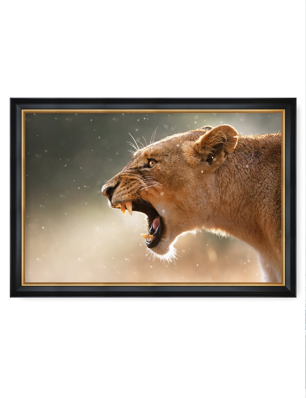 DECORARTS - Roaring Lioness Wild Animal Wall Art. Giclee Prints on Acid ...