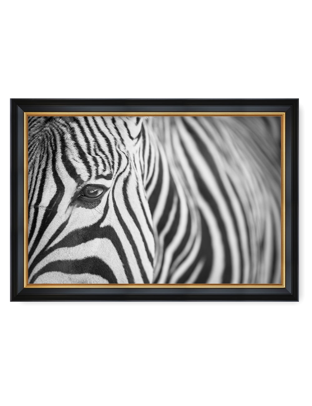 DECORARTS - Zebra Up Close Wild Animal Wall Art. Giclee Prints on Acid ...