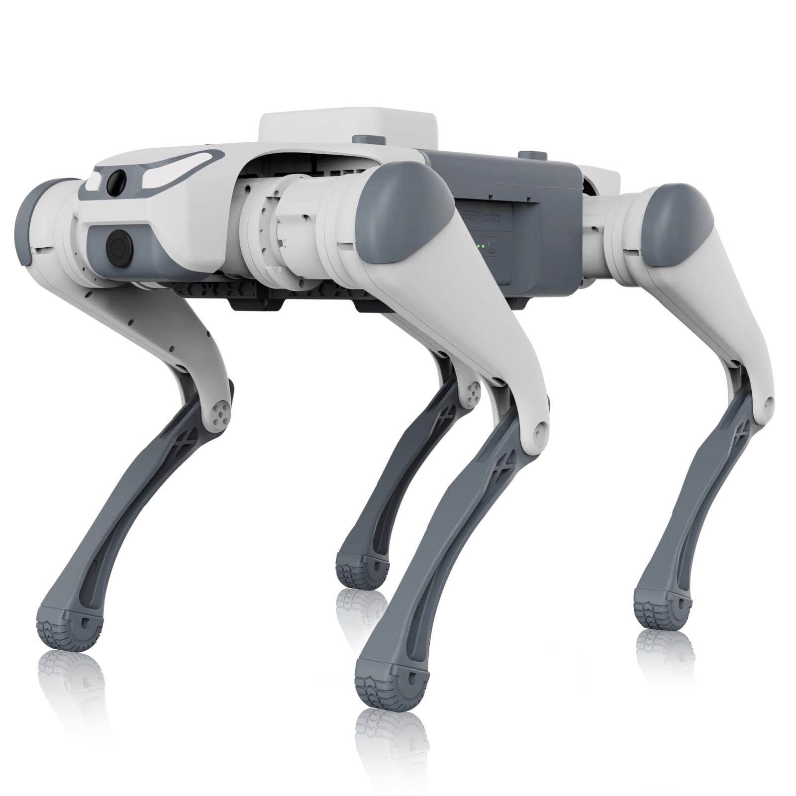 DEEP Robotics Lite 3 Quadruped Robot Dog – Autonomous Smart Bionic ...
