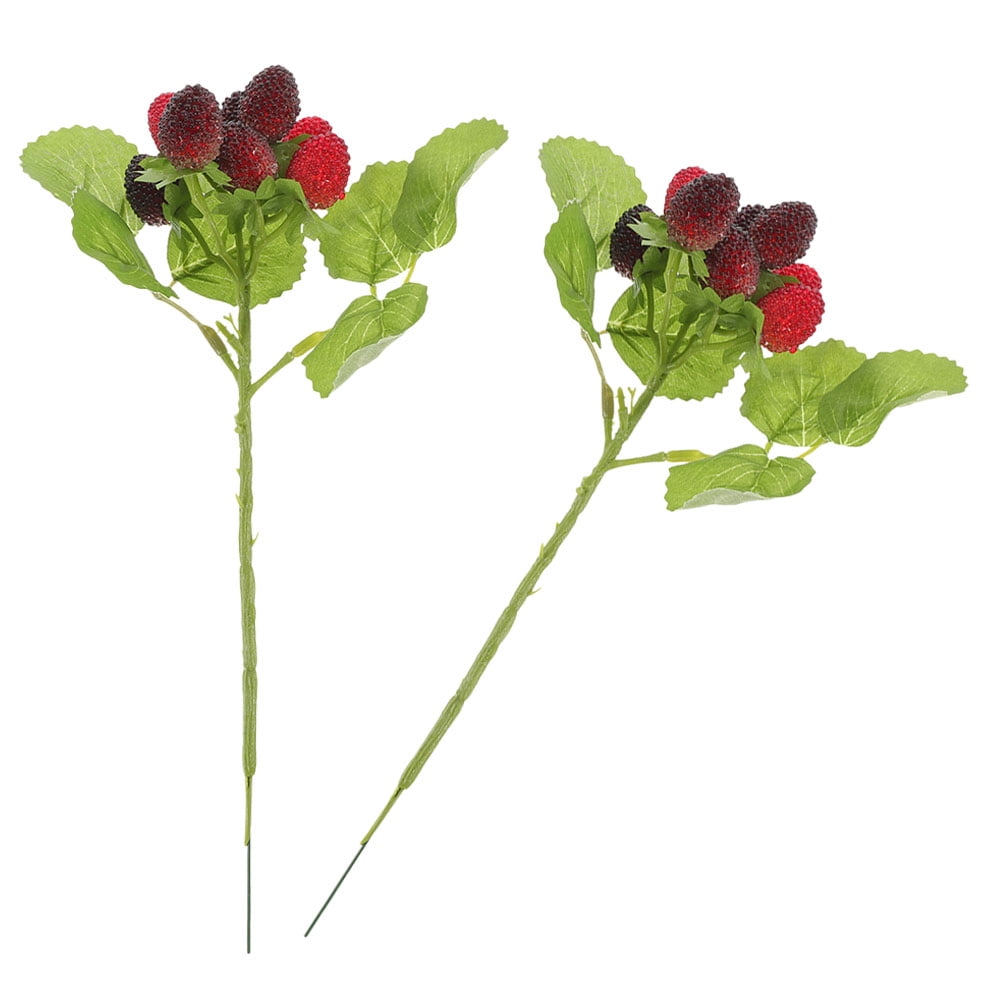 DEEPCRAFF 2Pcs Artificial Waxberry Stem Assorted Color 11.00X4.72X1 ...