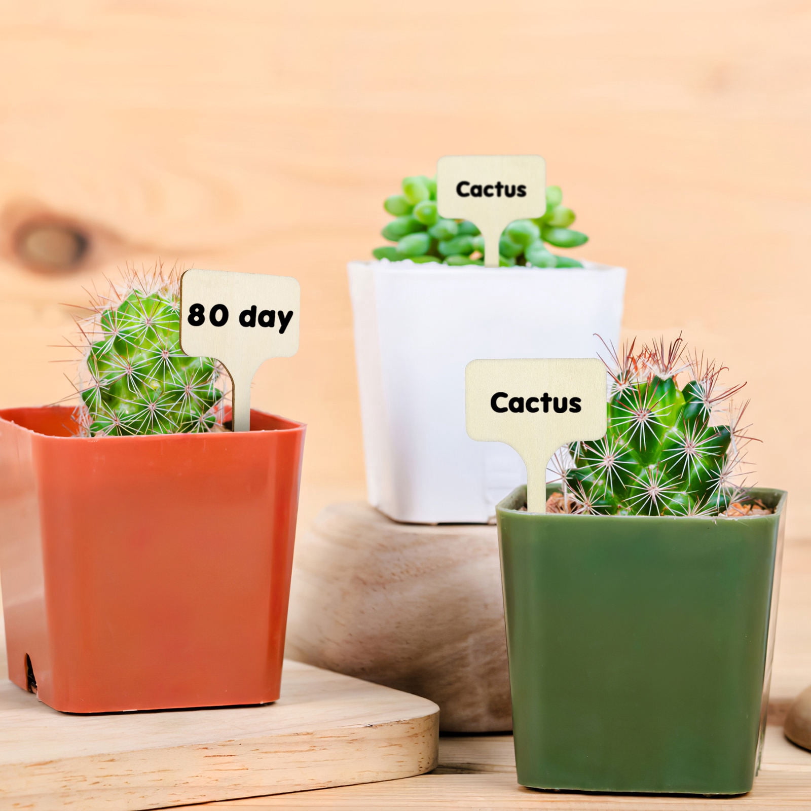 DEEPCRAFF 80Pcs Waterproof Wooden Plant Labels Outdoor Herb Vegetable ...