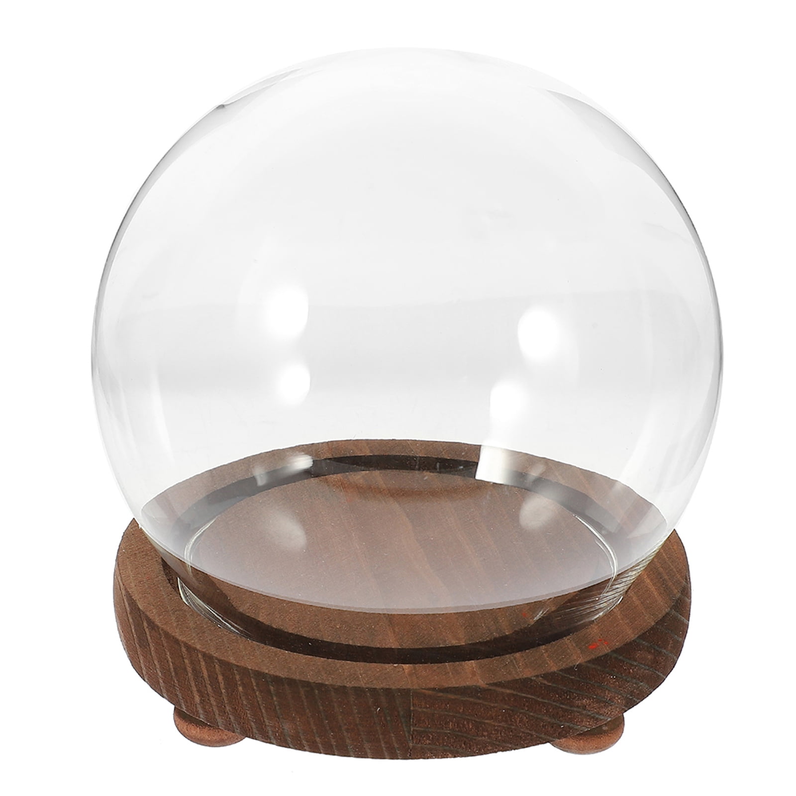 DEEPCRAFF Glass Cloche Dome with Base for Preserved Flower Display and ...
