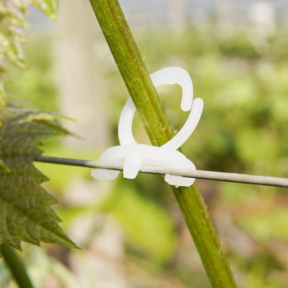 DEEPCRAFF Plastic Vine Tie Clip 500Pcs for Vine Plant Cultivation and ...