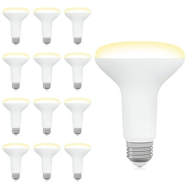 RRDWQ-Sunco 6 Pack BR20 LED Light Bulbs, Indoor Flood Light R20 ...
