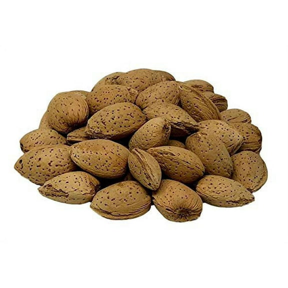 Bulk Peanuts Shell